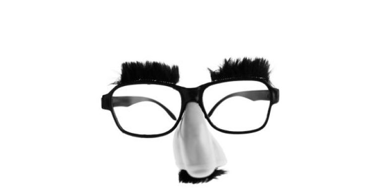 Groucho Marx-style eye brows, glasses, nose, and moustache | Story Quilt
